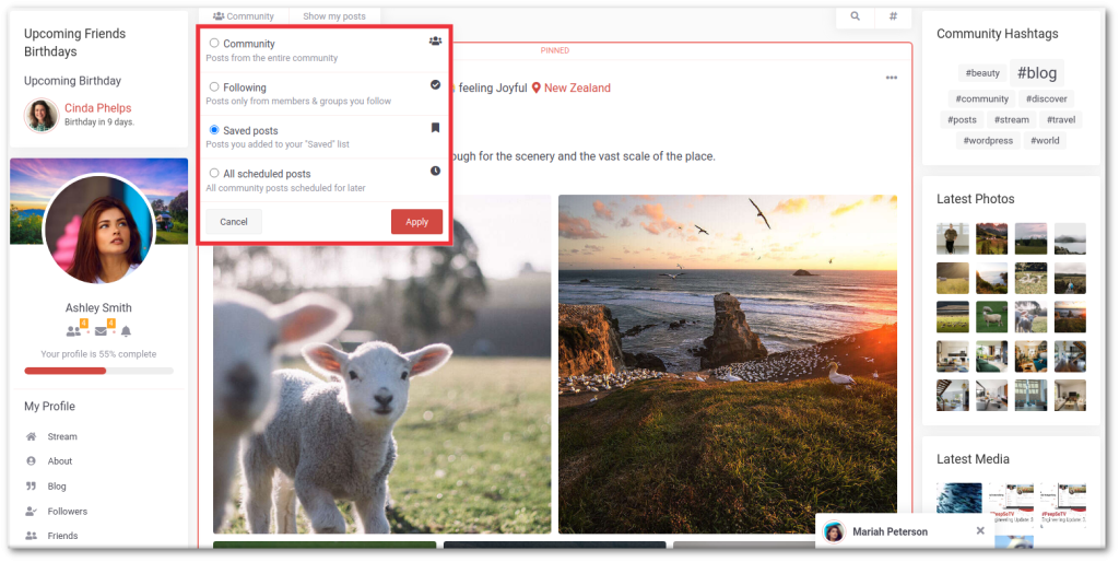 Saving A Post | PeepSo
