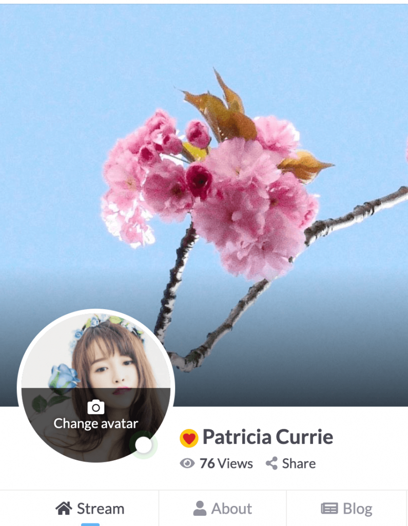 Snippet: Hide Avatar Change Option | PeepSo