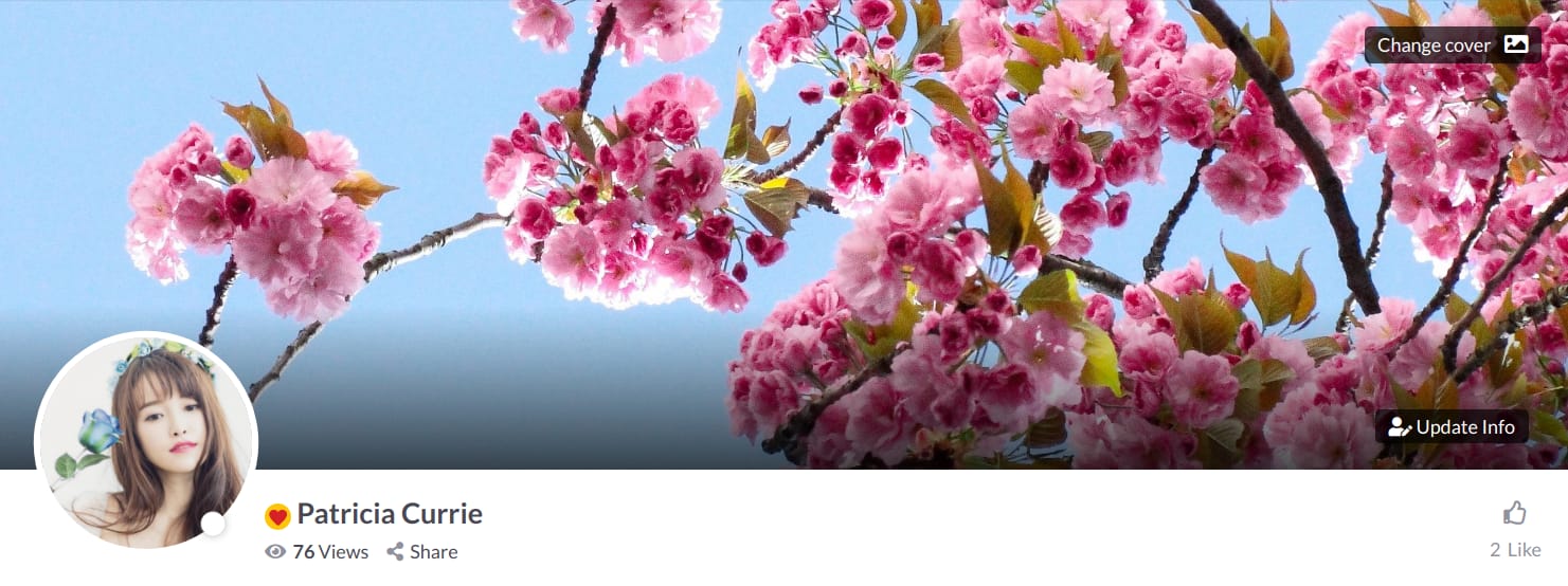 Snippet: Hide Cover Options | PeepSo